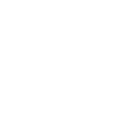 MTN Bushfire | Tickets