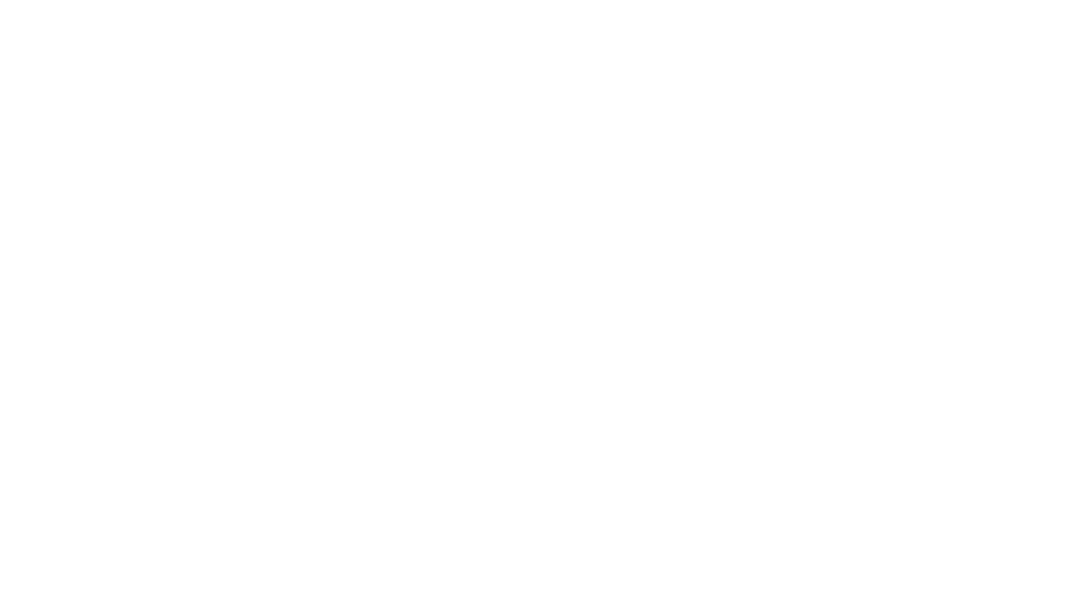 MTN Bushfire | MTN BUSHFIRE 2026 TICKETS NOW ON SALE!