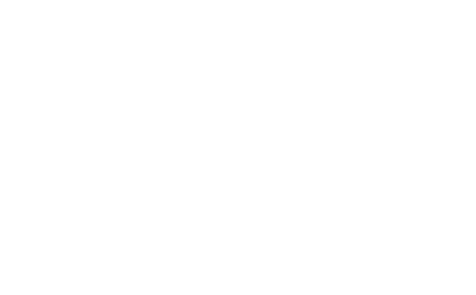 MTN Bushfire | Tickets