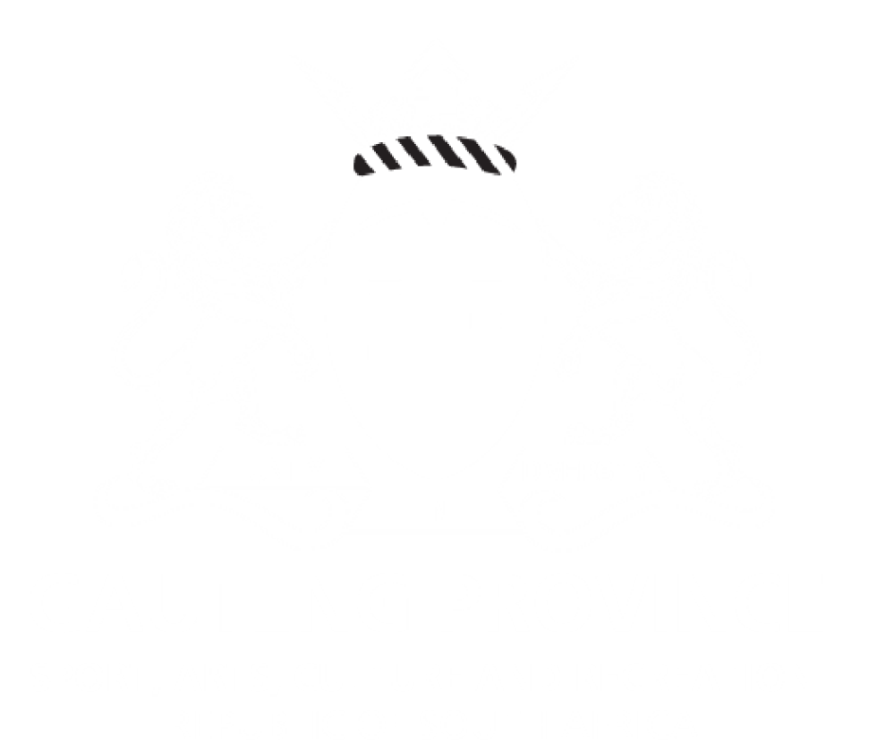 MTN Bushfire | MTN BUSHFIRE FESTIVAL 2025 FULL PROGRAMME ANNOUNCED!