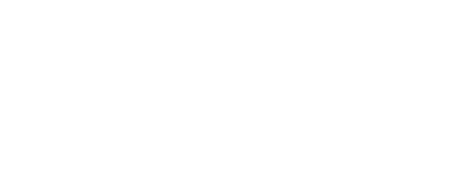 MTN Bushfire | Tickets