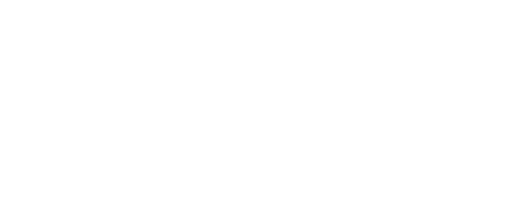 MTN Bushfire | Tickets