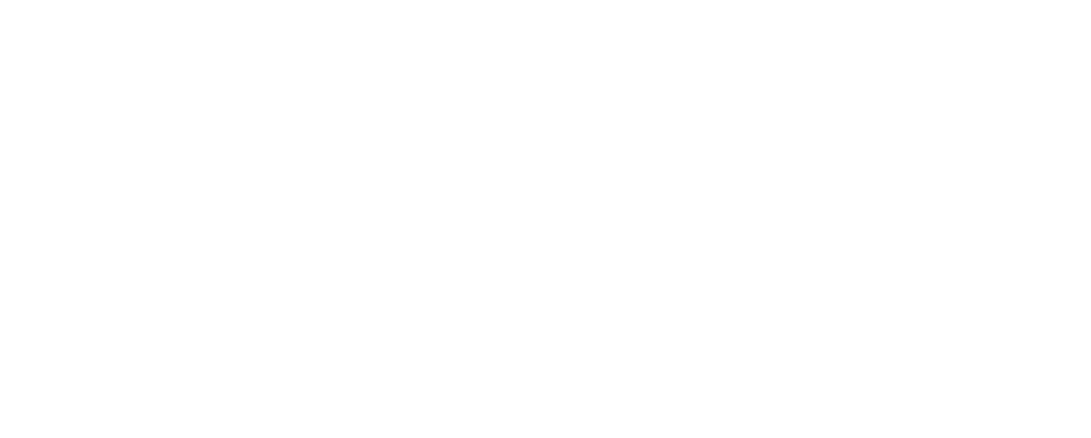 MTN Bushfire | Tickets