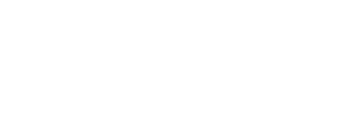 MTN Bushfire | MTN BUSHFIRE 2026 TICKETS NOW ON SALE!